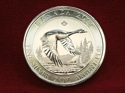 Royal Canadian Mint 2025 2oz 9999 Silver Goose Coin-BU | eBay