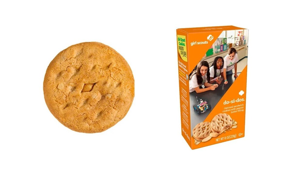 2026 9 FLAVORS Girl Scout Cookies SUPPORT AUTISM + GIVEAWAY | eBay