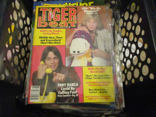 TIGER BEAT JULY 1979 LEIF GARRETT TONY DANZA | eBay