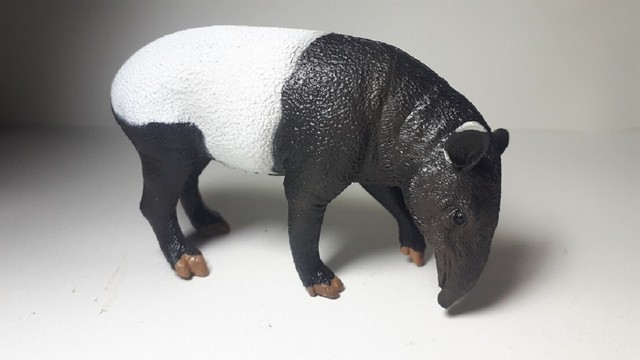 2020 Collecta Animal Toy / Figure Malayan Tapir for sale online | eBay