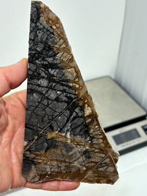 Large Picasso Marble (Jasper) end Slab Cabbing Lapidary Utah Combo Ship ...