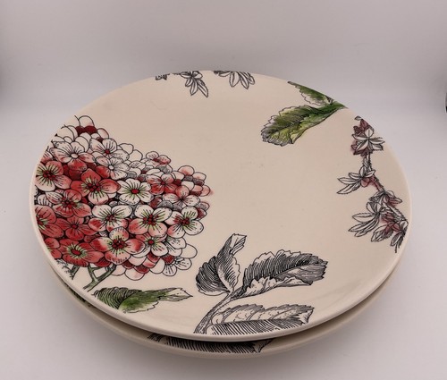 2 Edie Rose Home Hydrangea Collection By Rachel Bilson 11” Dinner ...