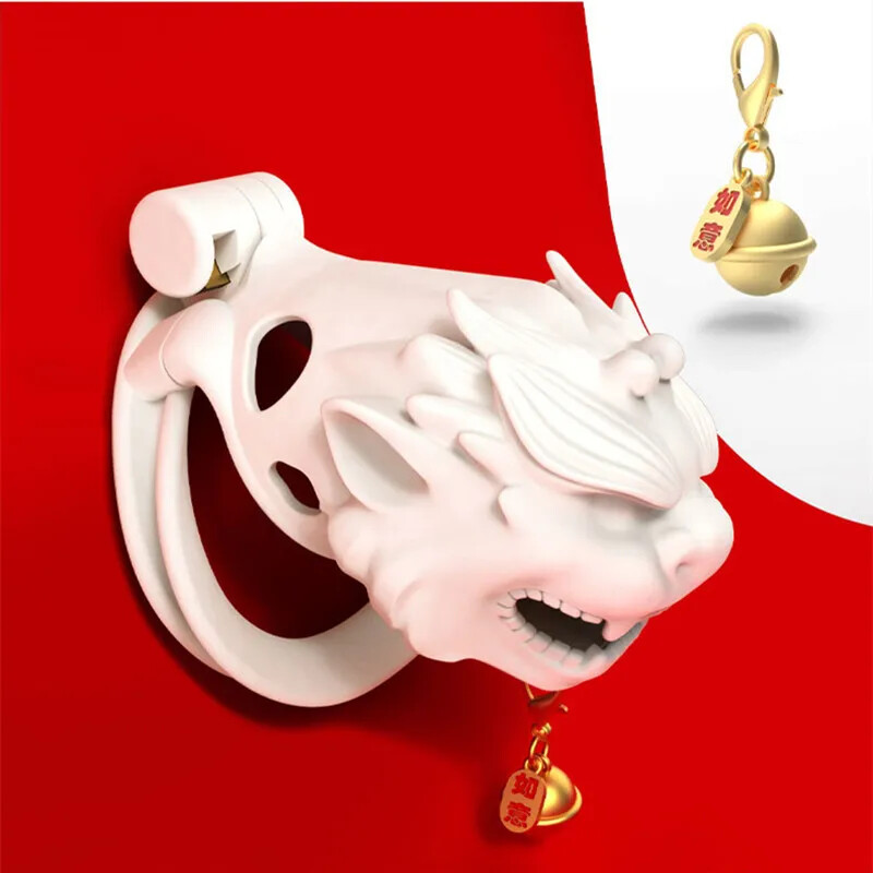 Dragon Chastity Cage Bird Lock Urethra Sexy Men Ascetic Anti-Cheating Device | eBay