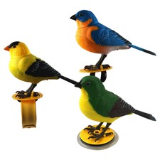 Polly Talking Parrot Little Dirty Bird Motion Activated Adult Fun ...