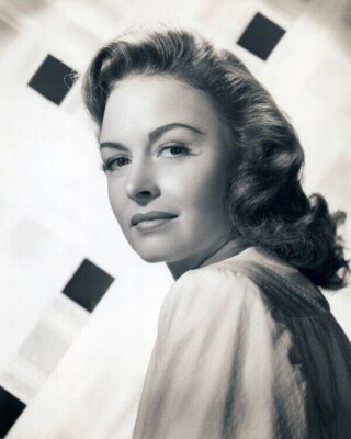 Donna Reed beautiful 1940's MGM studio publicity portrait 24x36 inch ...