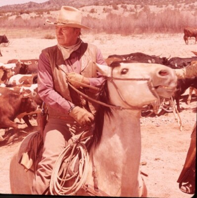 The Cowboys John Wayne herding cattle Original 2.25 x 2.25 Transparency ...