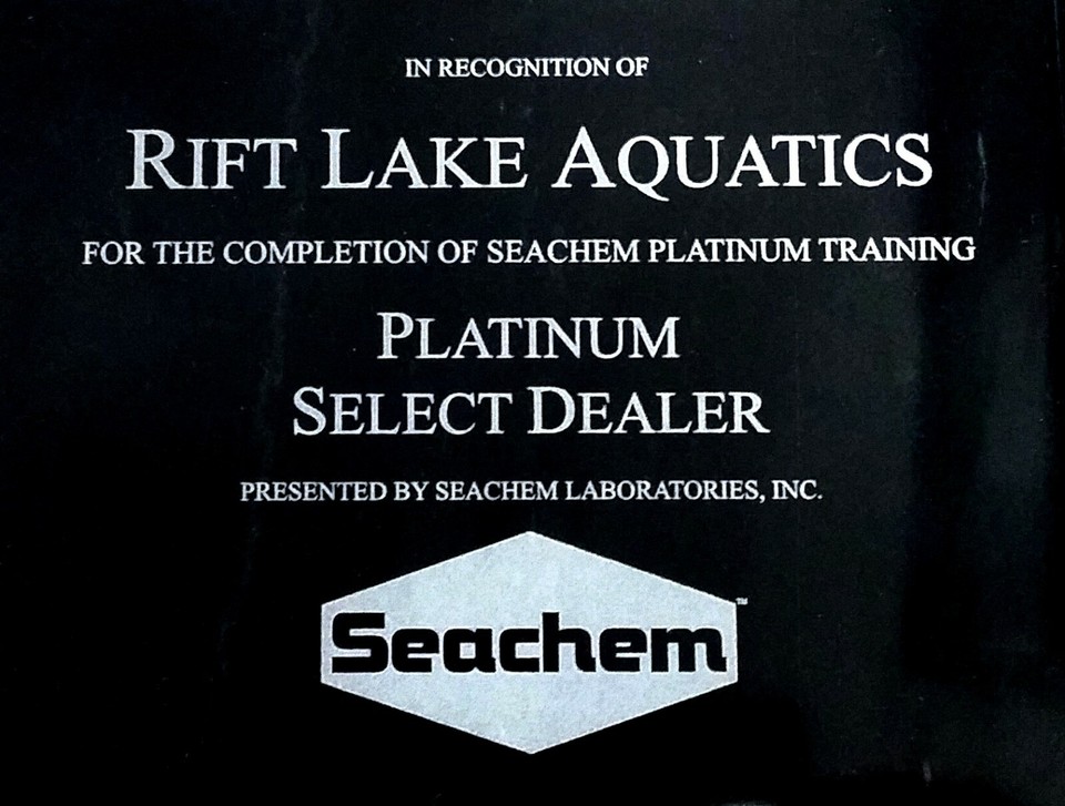 SEACHEM SULFAPLEX BACTERIAL FUNGAL FISH MEDICATION 100 GM 116084505| eBay