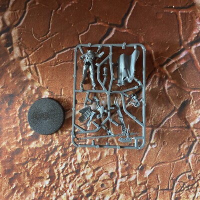 Warhammer AOS Stormbringer -EXCLUSIVE Stormcast Eternals Praetor Prime ...