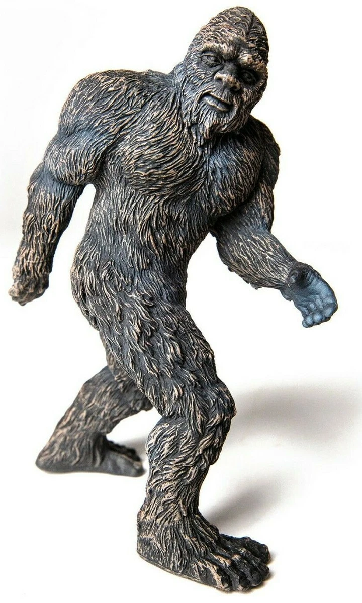 Yeti Vs Bigfoot Vs Sasquatch