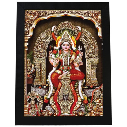 Goddess Amman Photo God Photo Frame 10 inchx13 Inch For Home Office ...