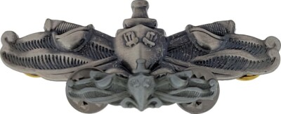 US Navy Naval Surface WARFARE Specialist ESWS + Miniature Oxidized ...