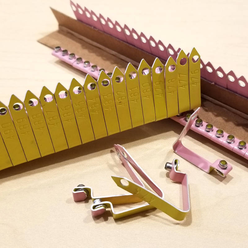 Zip Wing Bands Chicken Poultry Bird Numbered Wing Identification Wing ...