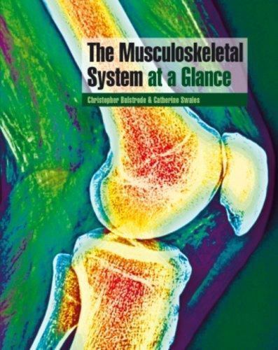 At a Glance Ser.: Musculoskeletal System at a Glance by Christopher ...