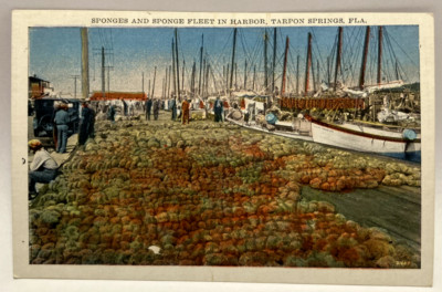 Sponges and Sponge Fleet in Harbor, Tarpon Springs, Florida FL Vintage ...