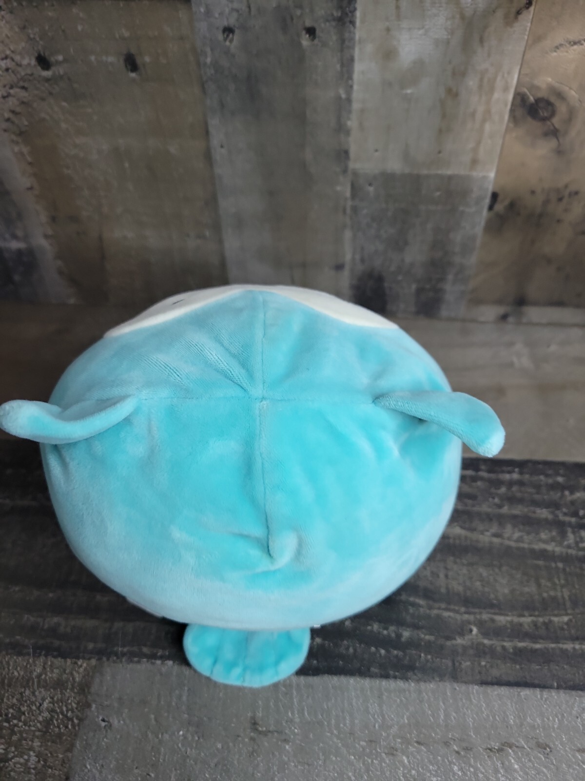 Squishmallows Winston The Owl Stuffed 8 inch Plush Toy Turquoise Cuddly ...