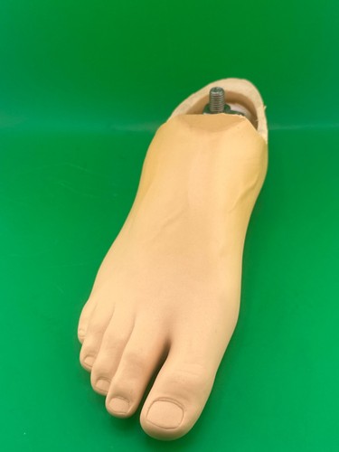 Flexible keel prosthetic foot. Right, size 27. Outer shell cut down | eBay