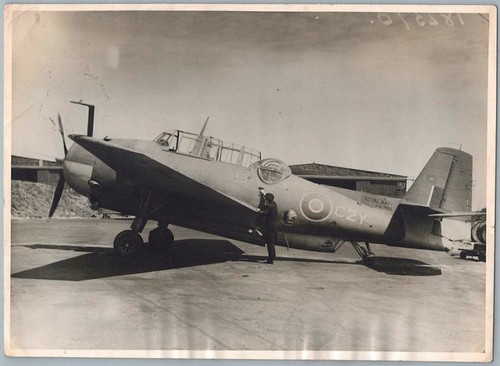 GRUMMAN TBF AVENGER ROYAL NAVY VINTAGE ORIGINAL WW2 PRESS PHOTO TBM ...