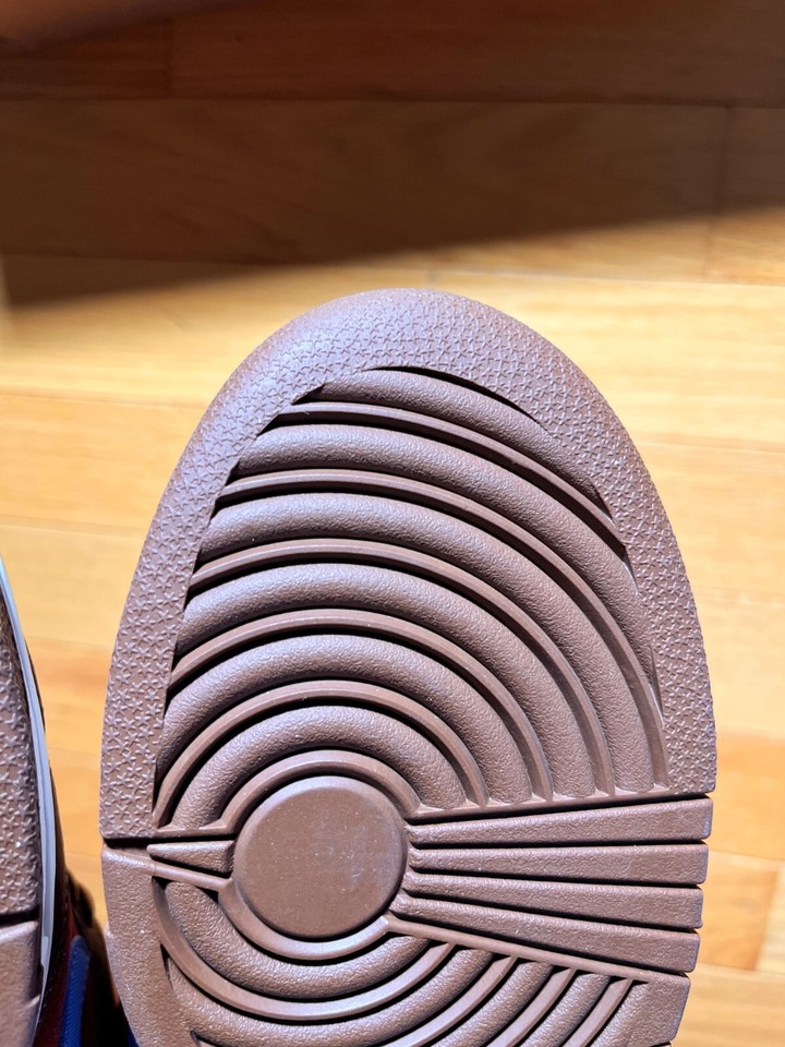 1 of 1 SAMPLE! Epic LEBRON KING Dunk Wear Test Nike SB Prototype Look ...