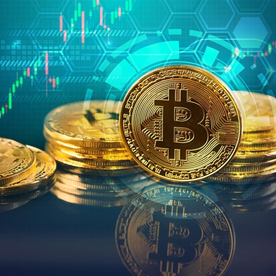 15 Pcs Physical Bitcoin Coins Commemorative BTC Collectors Gold Plated ...