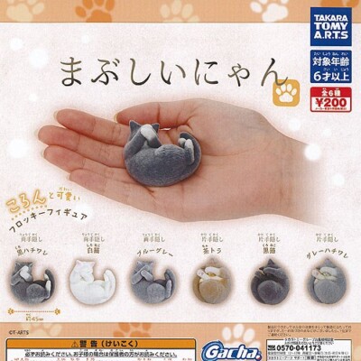 HY701 Capsule toy dazzling young cat complete set | eBay