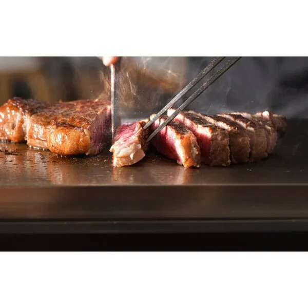 BALMUDA K10A-BK The Plate Pro Hot Plate Black AC 100V 4-step ...