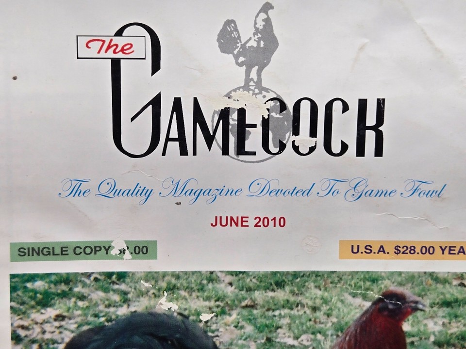 Vintage "The Gamecock Magazine" June 2010 Issue | eBay