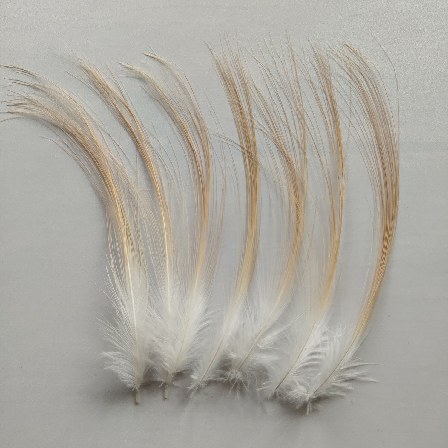 Wholesale 10-100pcs Golden Heron Silk Feathers 4-8 inch/10-20 cm For ...