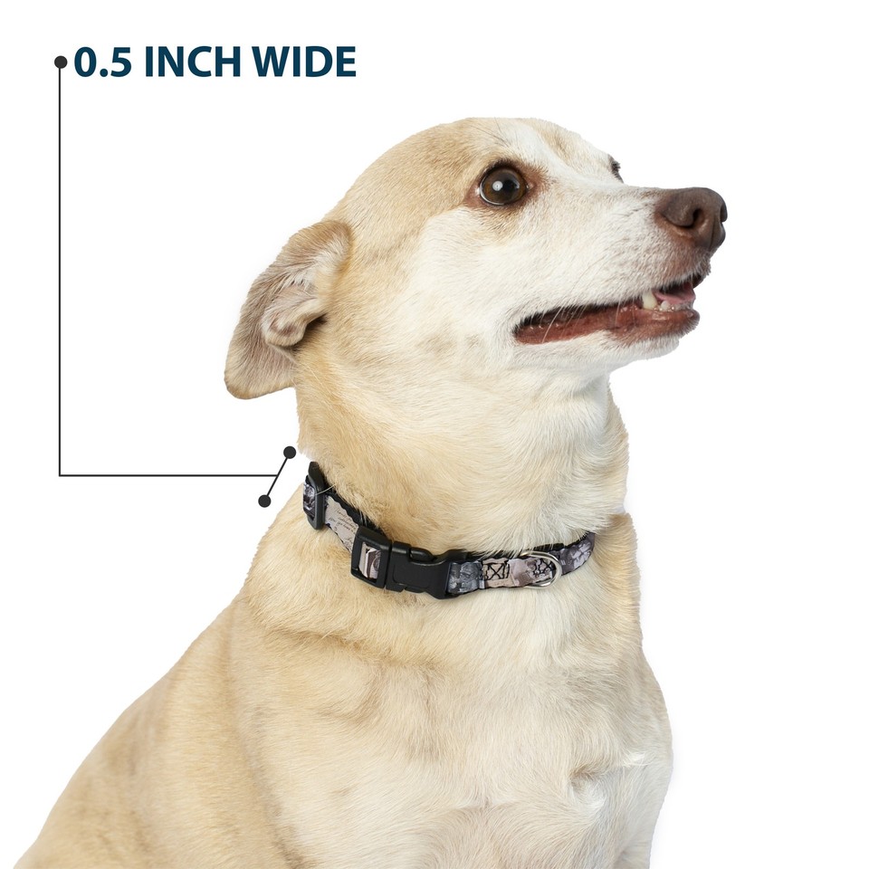 Plastic Clip Collar Up Adventure Book Snapshots/Post Cards NARROW-Me ...