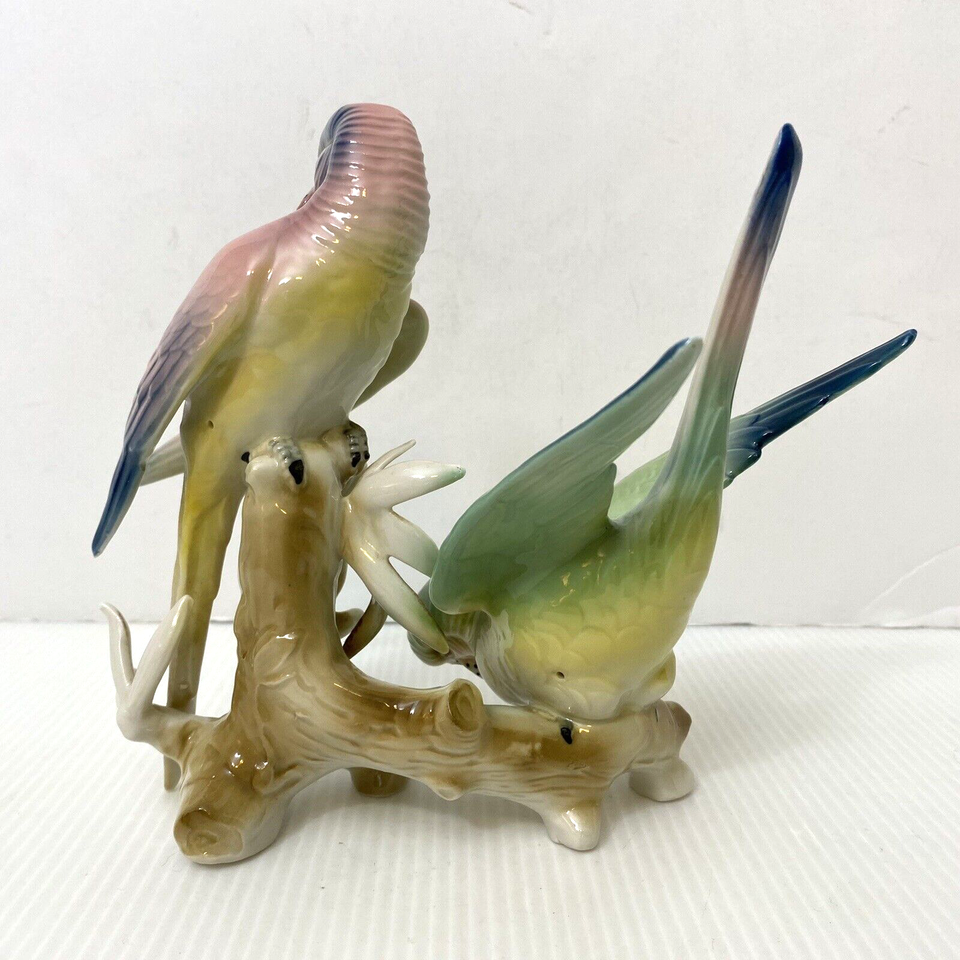 Wilhelm Rittirsch Dresden Porcelain Parakeet Parrot Bird Figurine Not ...