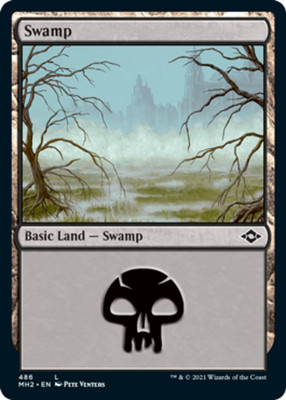 Basic Lands 10 MTG Swamp (486), NM-Mint, English Modern Horizons 2 | eBay