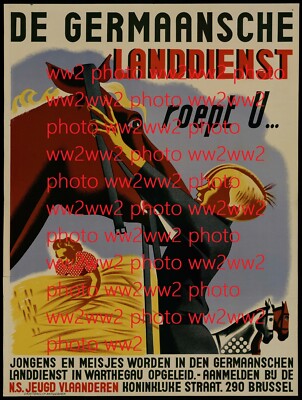 Photo Légion Flandern Belgique Niederlande Langemarck Devlag All Wh ...