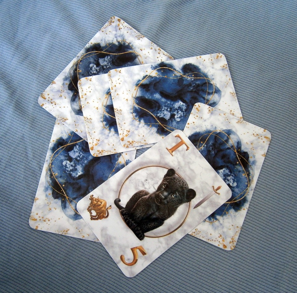 Signs of Destiny Oracle Deck | 30 Laminated Cards with Numbers, Letters ...