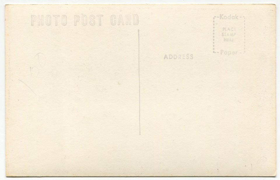 Mountain Goat Nanny and Kid. Real Photo Postcard. Ross Hall photo | eBay