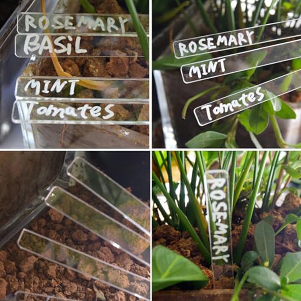 Greenhouses Parks Label Acrylic Label Protective Films 24 Potted Clear ...