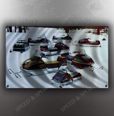 VINTAGE ARCTIC CAT 1974 LINEUP SNOWMOBILE BANNER | eBay