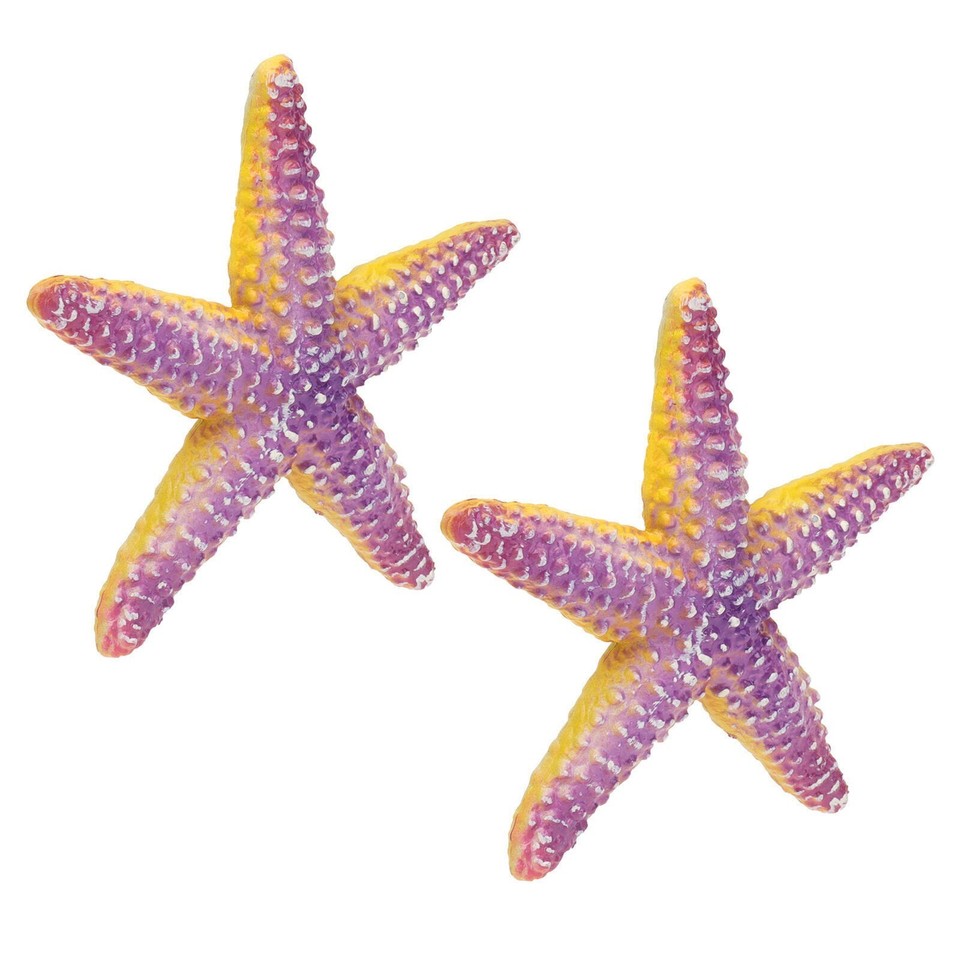 2Pcs Starfish Toy Simulation Details Cute Appearance Vivid Bright ...
