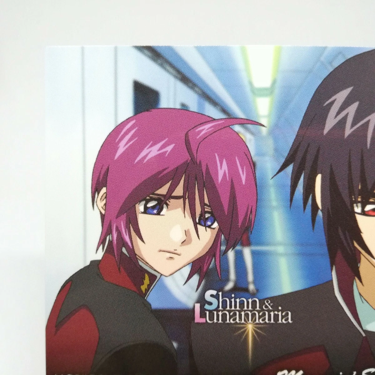 Gundam Seed Destiny Shinn And Lunamaria