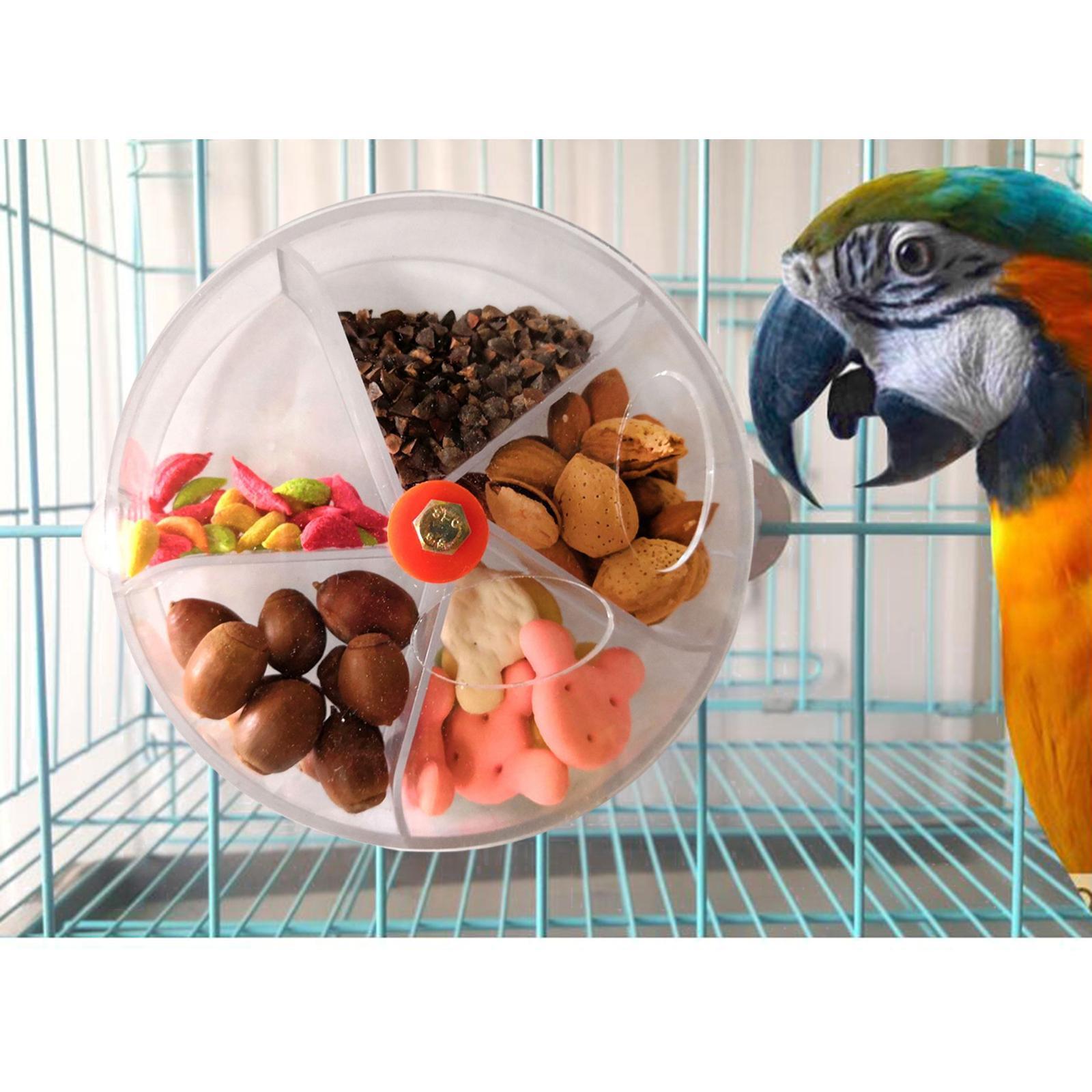 Durable Parrot Foraging Toys Foraging Wheel Food Container | eBay