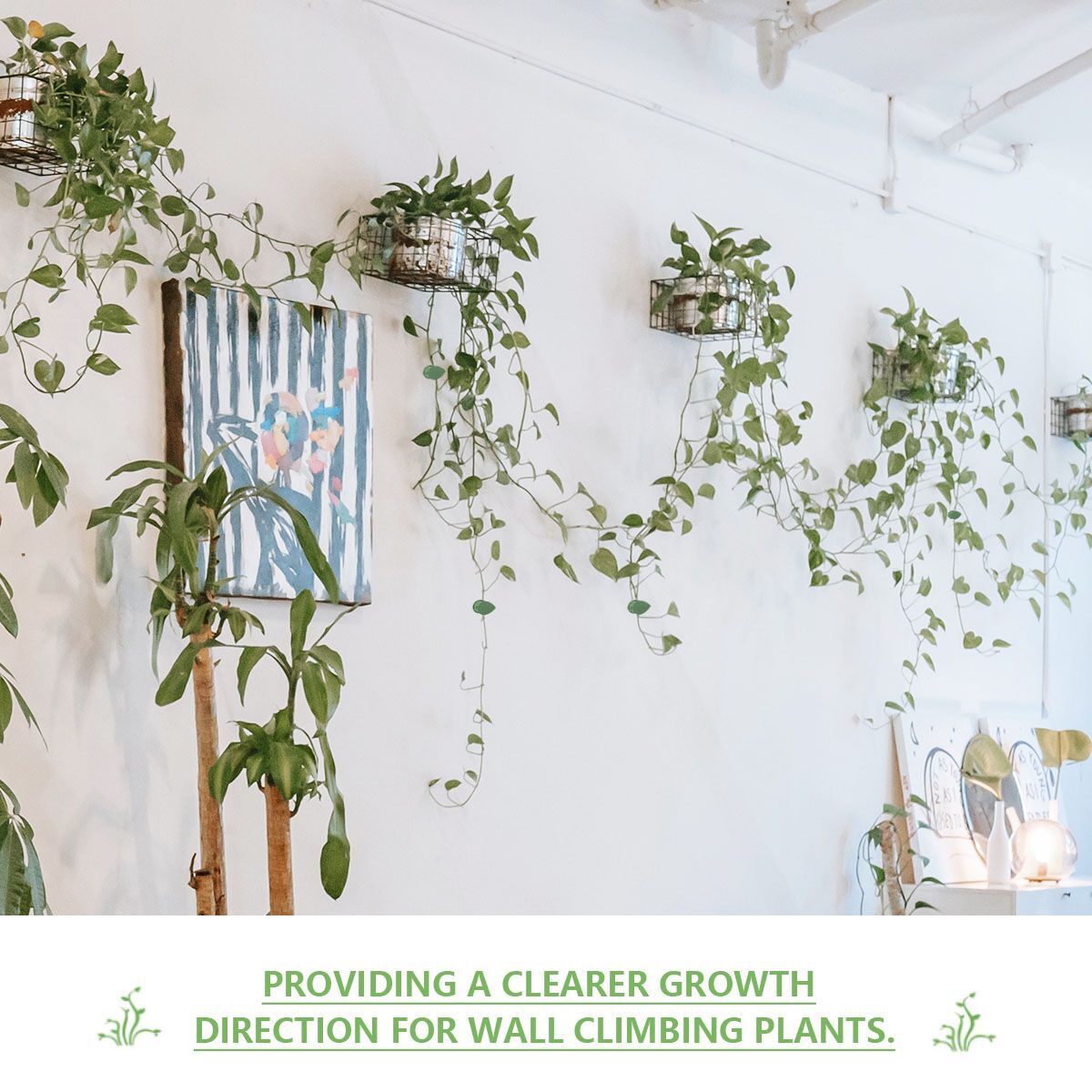 10/50PC Leaf Shape Plant Climbing Wall Clip Sticky Hook Vines Fixing ...