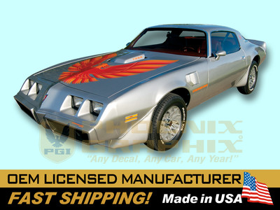 1978 1979 1980 Trans Am Firebird Decal Stripe Graphic Kit COMPLETE! | eBay