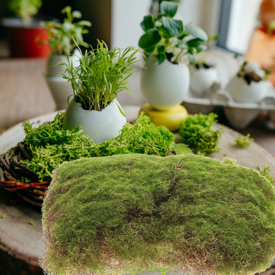 Artificial Moss for Landscaping Simulated Plants Micro Landscape ...