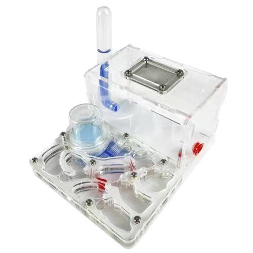 DIY Acryl Mini 3D Ant Farm Ant Nest with Feeding Area Ants House Insect ...