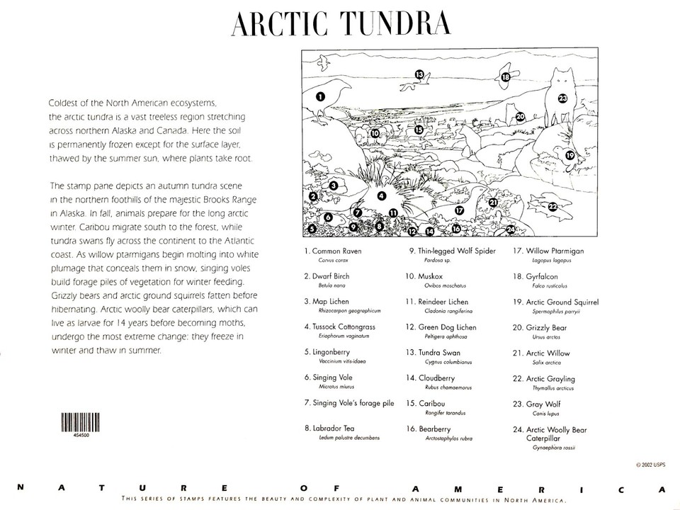 Arctic Tundra, 1 Sheet of 10 Mint 37¢ Stamps, 2002, 3802, OG/MNH/UM | eBay