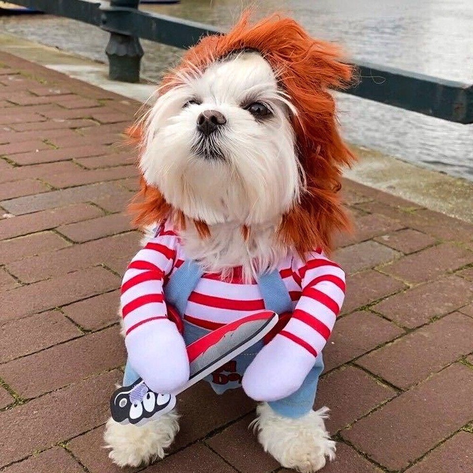 Pet Chucky Dogs Halloween Costume Party Cosplay Pets Fancy Dress ...