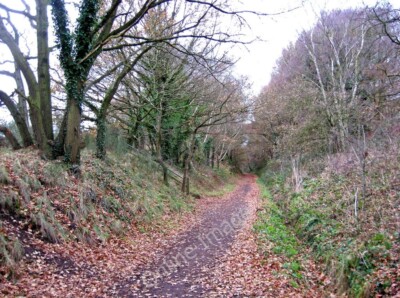 Photo 6x4 Leapgate Country Park looking west Stourport-on-Severn The ...