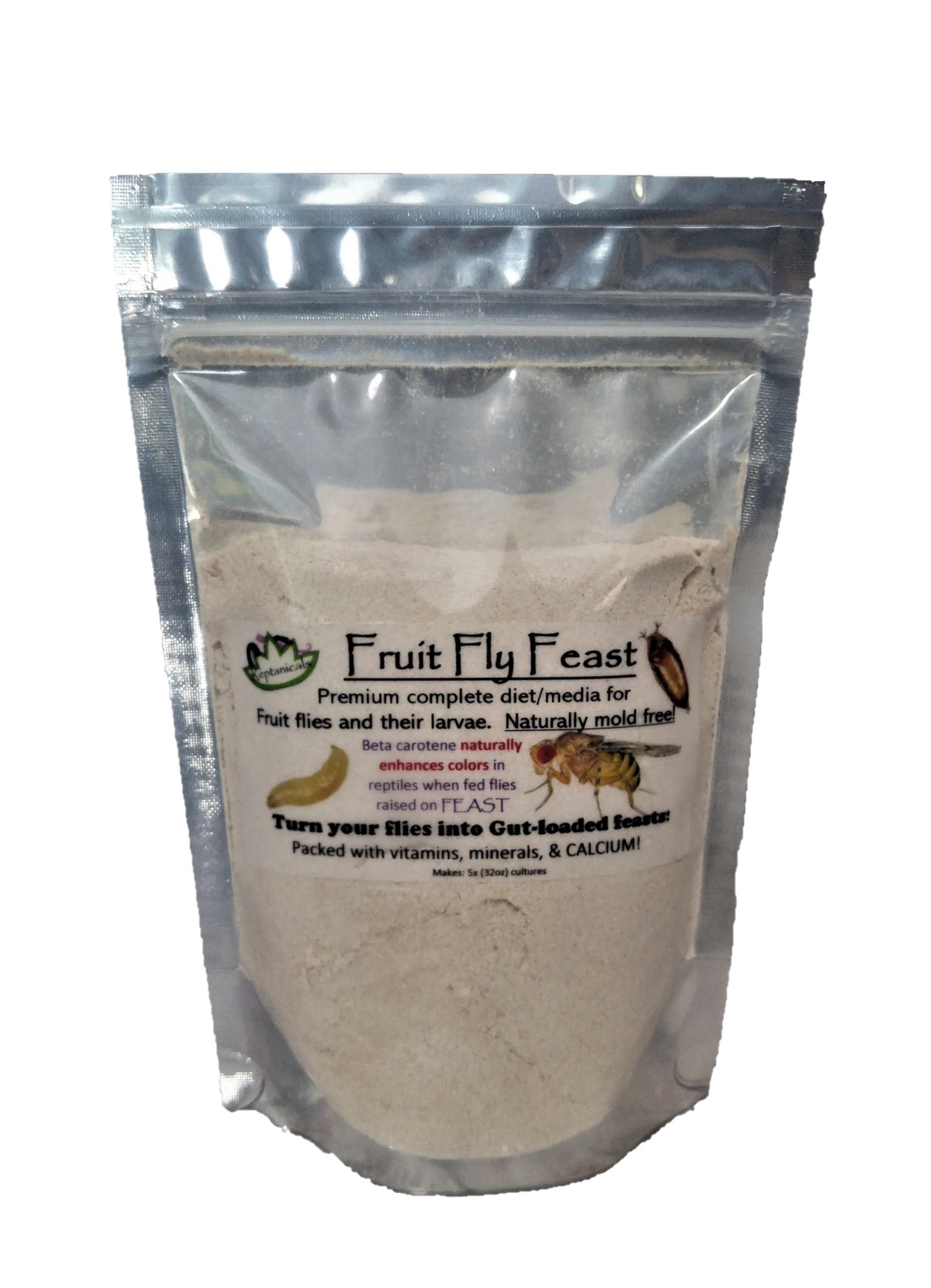 Fruit flies as livefood for fish >> killi.co.uk