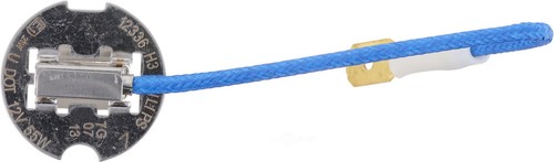 Fog Light Bulb-Standard - Single Blister Pack Philips H3B1 | eBay