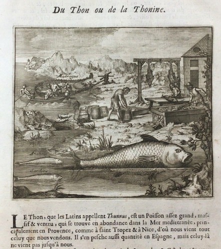 "TUNA" "DU THON", Histoire Générale des Drogues, Pierre Pomet, 1694 ...