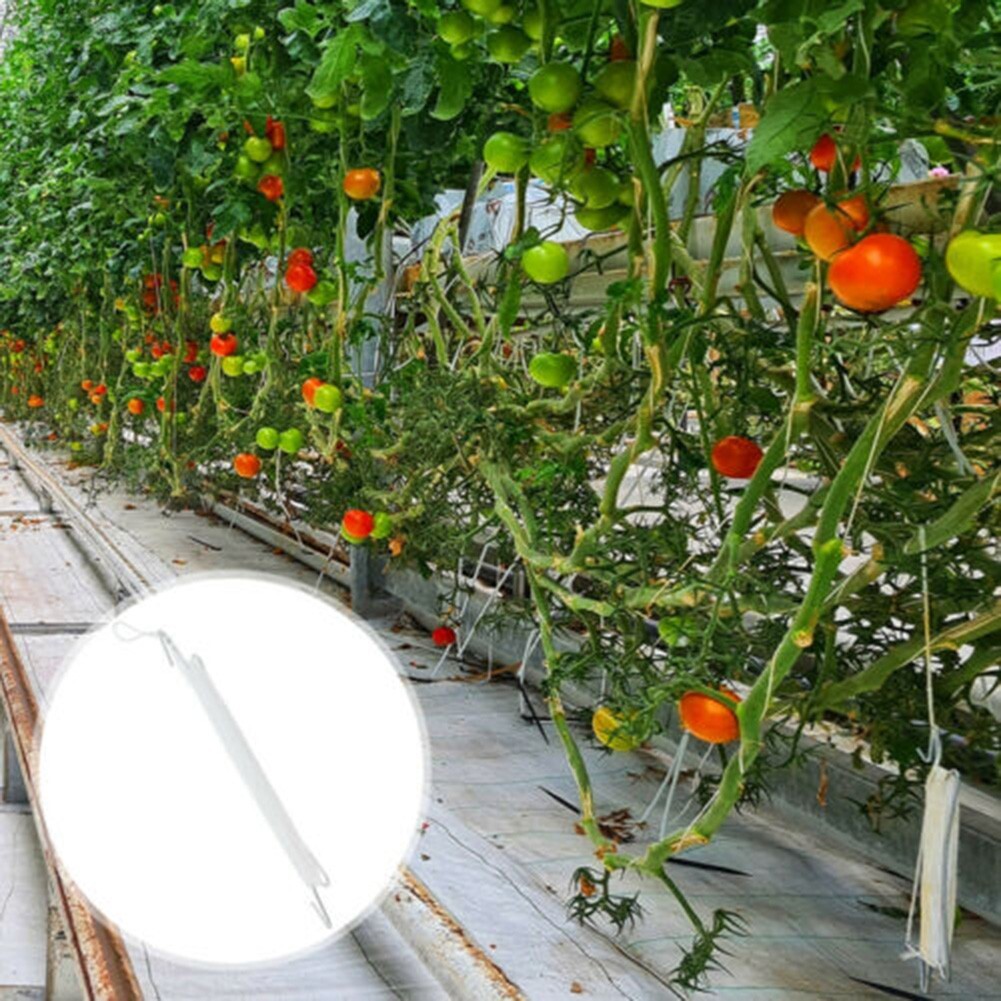 10x Greenhouse Garden Tomato Hook Clamp Holder Planting Vegetable Hook ...