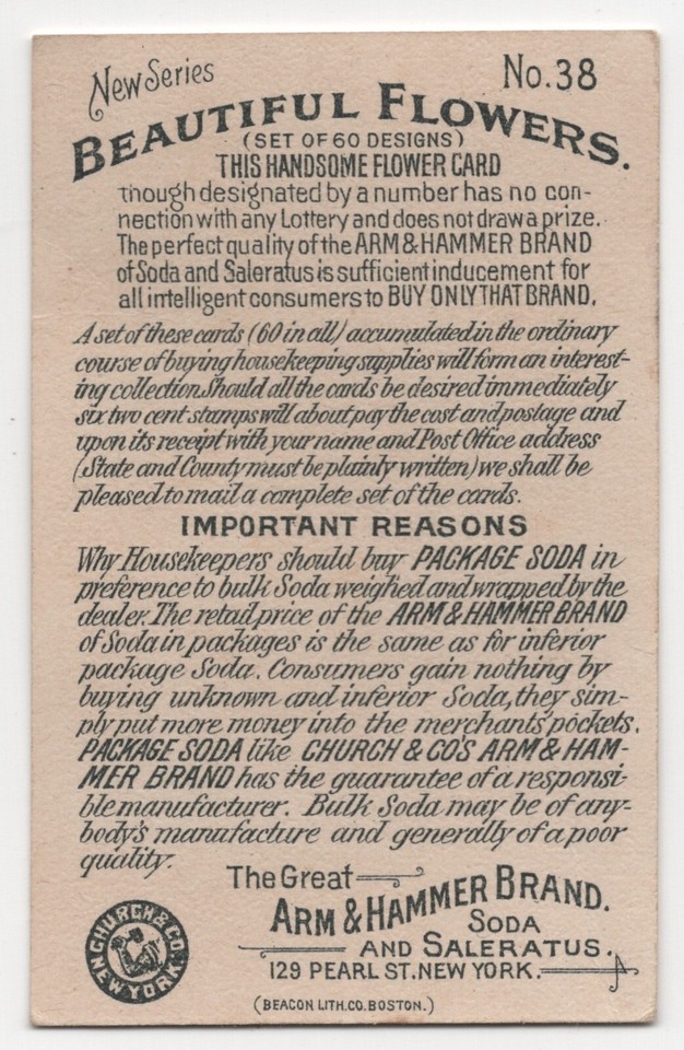 1895 Cornflower Flower Card Arm & Hammer J16 #38 Church & Dwight Flower ...